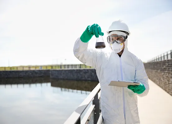 Home [www.ecofloristix.co.za]